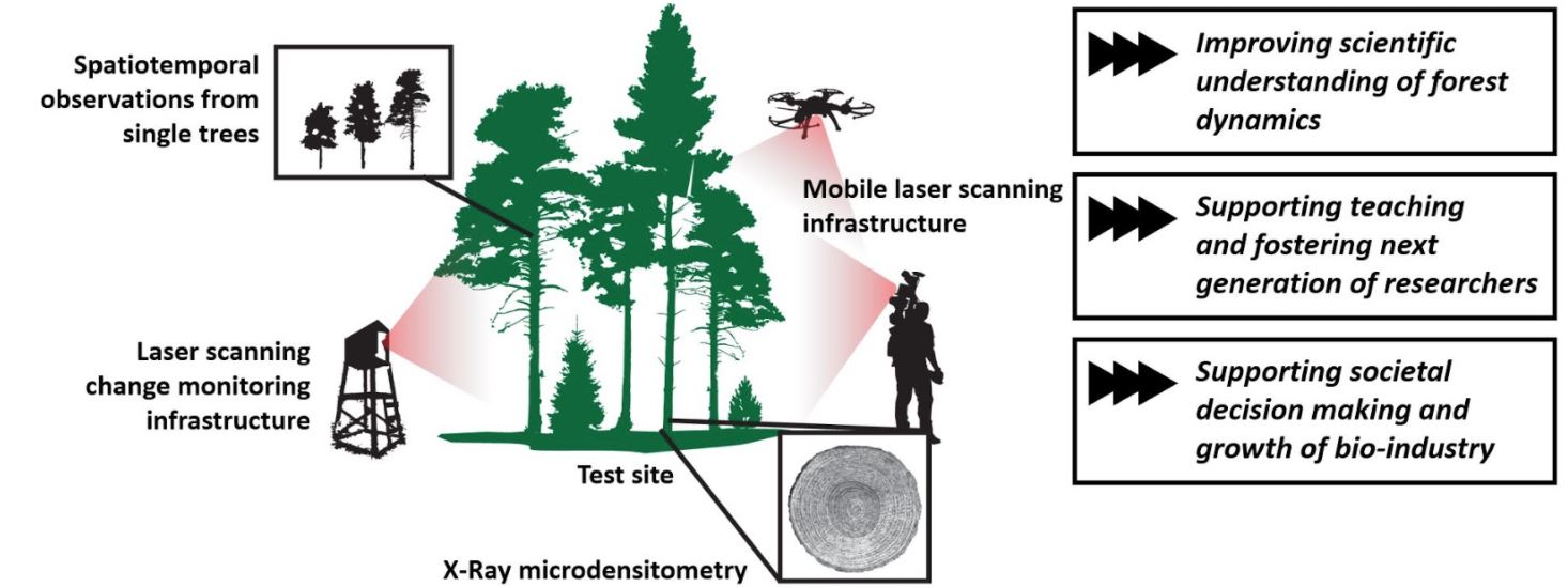 SCANFOREST - Scanforest